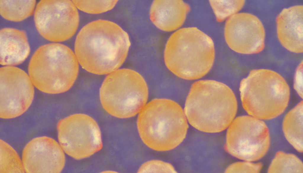 Best Automatic Fire Suppression Material Manufacturer And Supplier ...